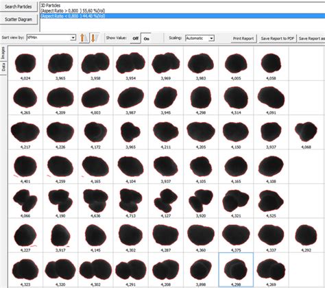 online particle size and shape analysis automatic and digital