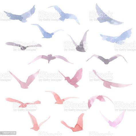 손으로 그린 수채화 다채로운 새의 실루엣 분홍색 주황색 보라색 및 파란색 벡터 추적 세트입니다 새에 대한 스톡 벡터 아트 및 기타 이미지 Istock