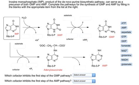 Inosine Monophosphate Synthesis