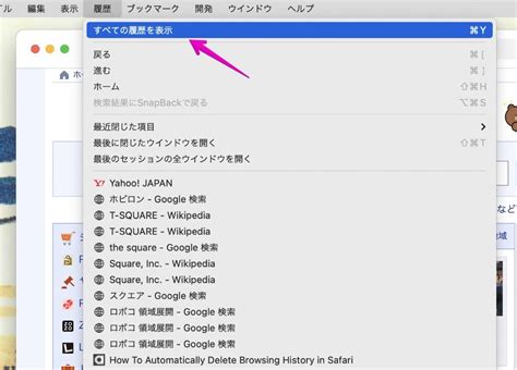MacのSafariで履歴を手動削除自動削除する方法 Macのアンチョコ