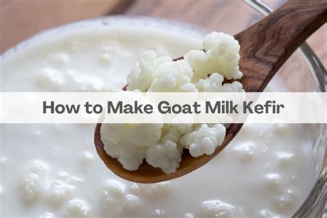 How To Make Goat Milk Kefir Easy Step By Step Tutorial