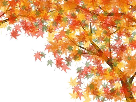 紅葉のイラスト｜フリーイラスト素材