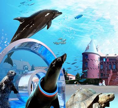 登別尼克斯海洋公園日本自由行 竹企旅遊