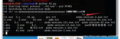 Pwn学习 Attach调试与ret2libcpwndbg Attach Csdn博客