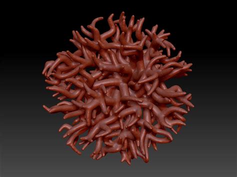 Movie Of MatCap Red Wax All Washed Out ZBrushCentral