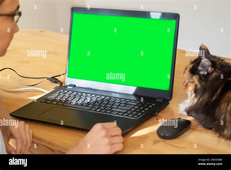 Young Woman Using Her Laptop With Green Screen She Sitting In Front Of Monitor Working Or
