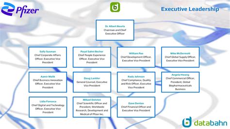 Pfizer Org Chart And Sales Intelligence Blog Databahn
