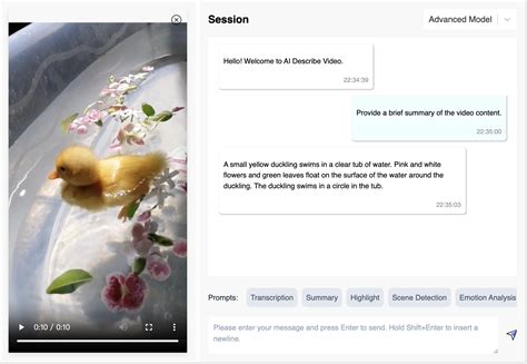 AI Describe Video Free Summarization Key Moments And More