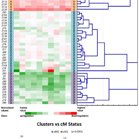 Tree Clustering Wards Method Euclidean Distances Heat Map Download Scientific Diagram