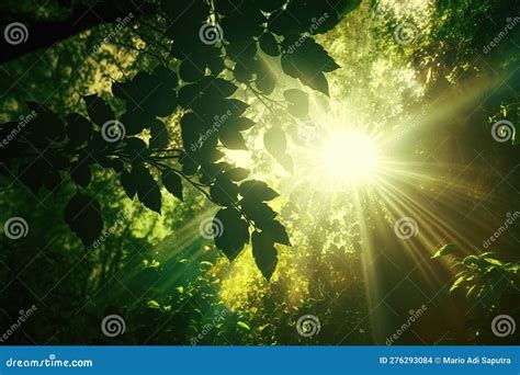 Embracing The Beauty Of Nature Through Cinematic Portrayals Of Earth S
