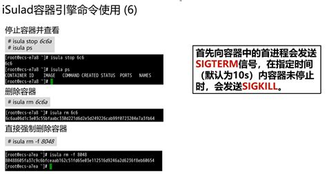 鲲鹏微认证：isula容器解决方案介绍与实践鲲鹏微认证——《isula容器解决方案介绍与实践》 Csdn博客