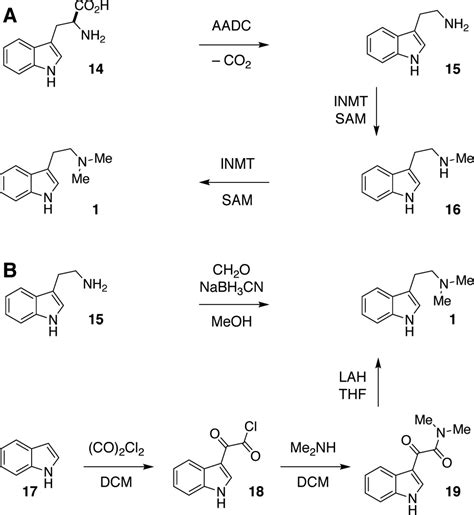 Dmt Molecule Structure