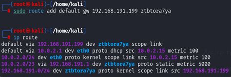 Zerotier Internet Service Linux Zerotier Discussions