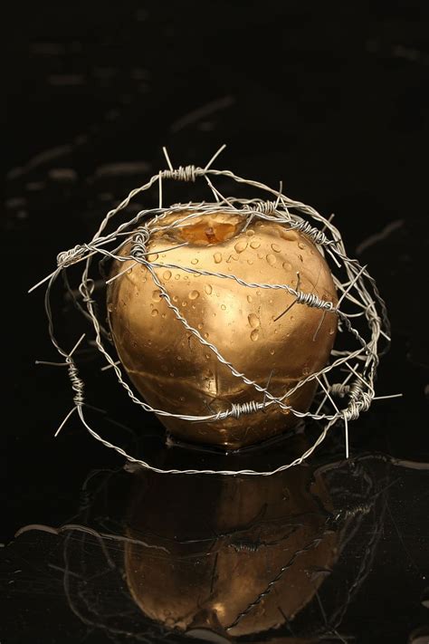 Barbed Wire Bondage Telegraph