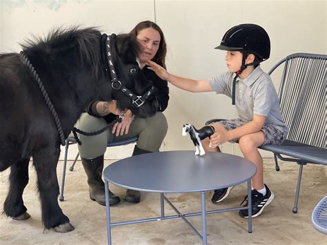 Neigh Worries Equine Assisted Learning 10 West Gateway Lara VIC 3212