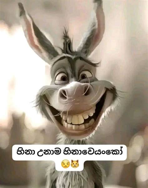 සඳට හිරු සේ ආදරෙයි මං