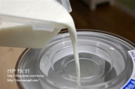 연유아이스크림 초코아이스크림