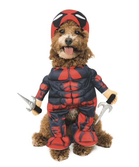 Deadpool Dog And Cat Pet Costume Pet Costume Center