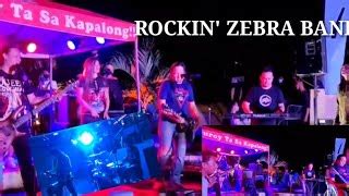 Rock Band Zebra Popnable