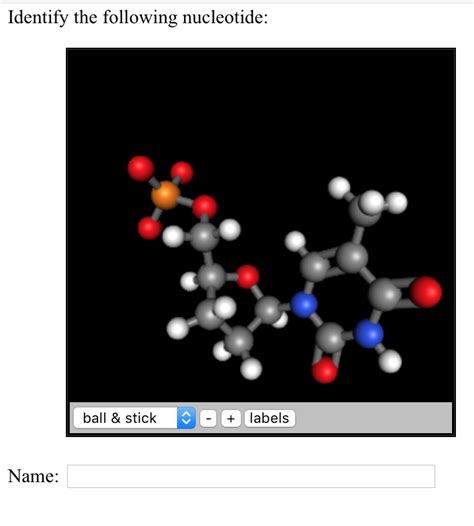 Solved Identify The Following Nucleotide Chegg