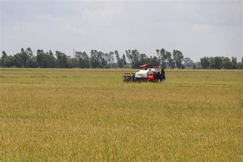 អភិបាលខេត្តស្វាយរៀង ប្រាប់ឱ្យពលរដ្ឋផ្អាកធ្វើស្រែប្រាំងលើកទី២