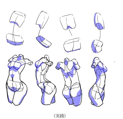 人物の絵 解剖学アート 人体スケッチ