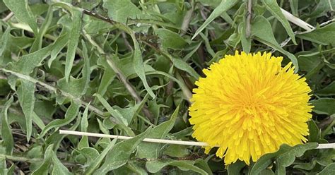 頭よりも身体は素直｜itose🦋人生をデザインする