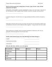 Macromolecule Worksheet Carbohydrates Proteins Lipids Course Hero