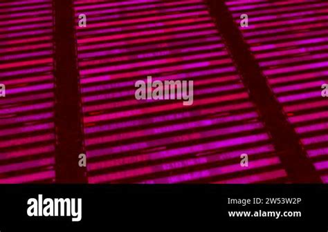 Electronic Chart Display Stock Videos And Footage Hd And 4k Video Clips Alamy