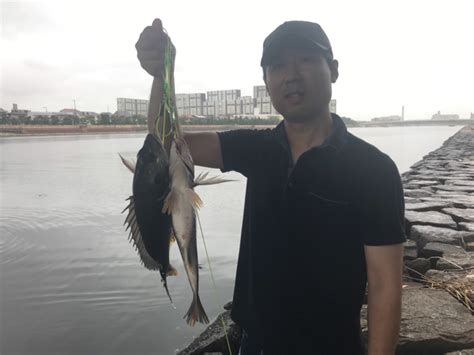 超リアル エビ撒きでハネとキビレ連発！ フィッシングマックス 関西の釣果大阪･神戸･和歌山の釣果情報