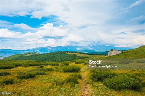 산의 경치의 아름 다운 보기입니다 고지대에 바위 돌 근처 보도와 풍경 나무와 식물 바위입니다 흐린 하늘 아래 먼 거 대 한
