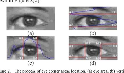 Figure 1 From A Novel Method For Eye Corner Detection Based On Weighted Variance Projection