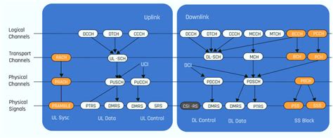 A Simple Guide To Csi Rs Codebook In 5g Networks Logic Fruit Technologies