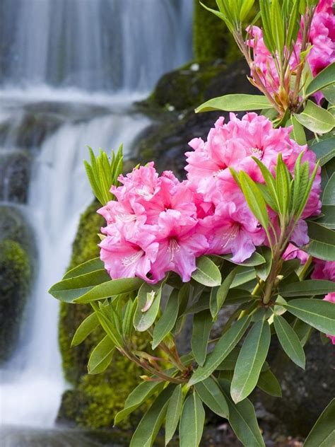 Spring Waterfall Wallpapers Wallpaper Cave