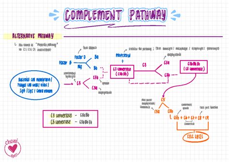 Alternative And Lectin Pathway Inthieln Iatitinaitd