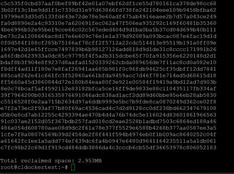 Docker Overlay2 Cleanup 5 Ways To Reclaim Disk Space Virtualization