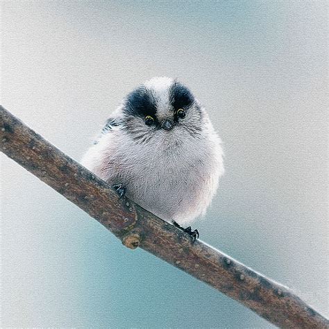 법륜스님 팀장마다 업무를 너무 많이 줍니다 후임이 일을 못하니까 네가 해라 선임이 일 처리를 잘못하니 네가 하라고 합니다” 위에서는 일을 빨리 처리하려면 일 잘하는