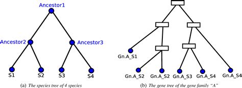 Figure 22 From Transcriptional Regulatory Networks Across Species