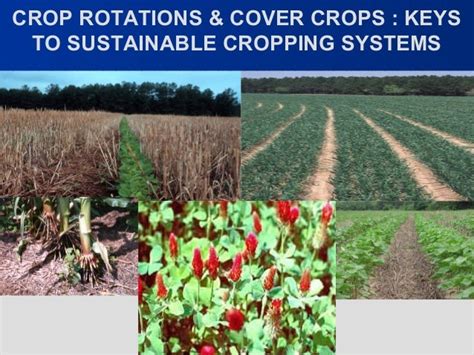 Crop Rotations And Cover Crops For Diversity Presentation A Lecture B