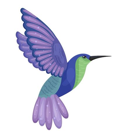 Premium Vector Flying Cute Beautiful Hummingbird Picture Colorful