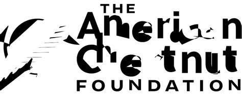 Growing Chestnuts The American Chestnut Foundation