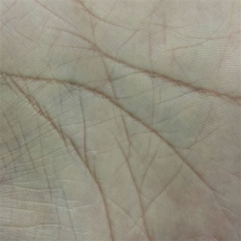 Palm Print Classification Dataset By Feng Chia University