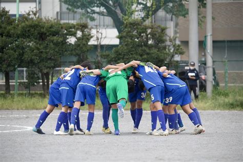 Fc Fc