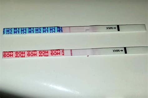 Ovulation Test Strips Maximize Your Chances Of Conceiving With This Fertility Predictor