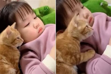 딸 아이가 누워서 스마트폰 보고 있자 궁금한지 자기도 보겠다며 옆에 꼭 붙은 아깽이