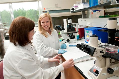 Bioinformatics Management Ms Gmu College Of Science