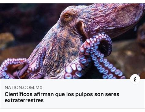 Xeec Los Simpsons Lo Hicieron De Nuevo
