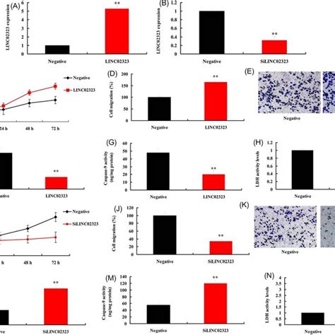 Lncrna Linc02323 Regulated Ovarian Cancer Cell Proliferation And