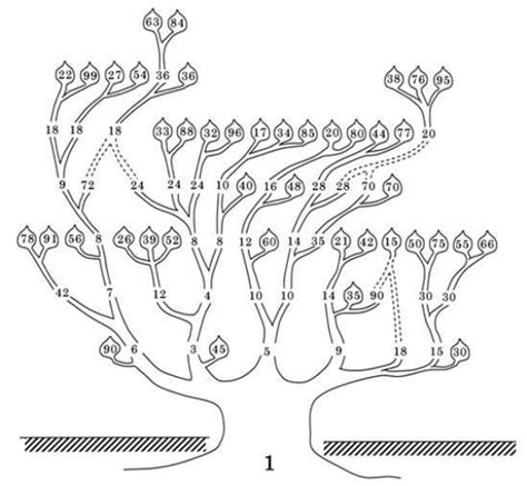 Unit Fractions As A Tree Diagram Download Scientific Diagram