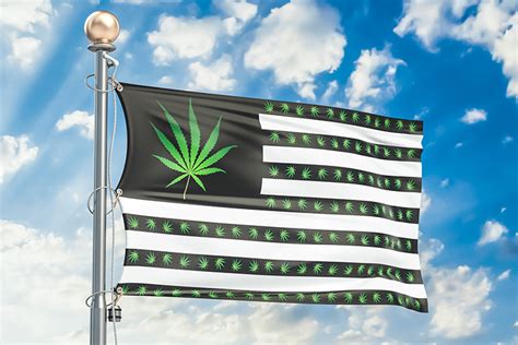 Bipartisan Re F E R Bill Targets Sessions War On Cannabis In High Style